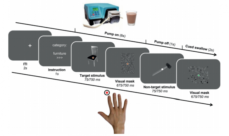 Eating when distracted is associated with increased food consumption ...